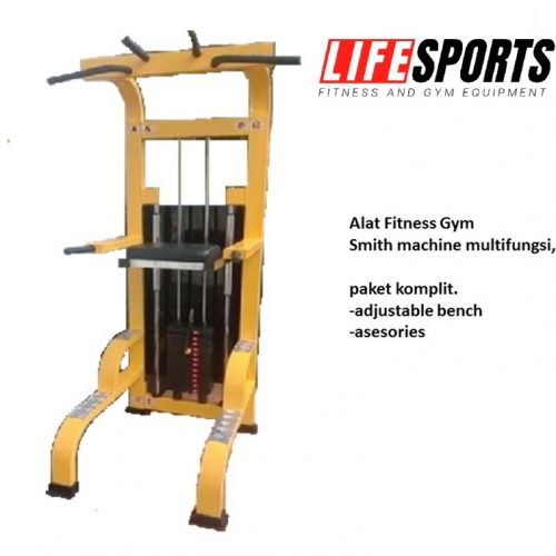 LIFESPORTS – New Alat Olahraga Fitness Gym Multifungsi Dipping Belt ...